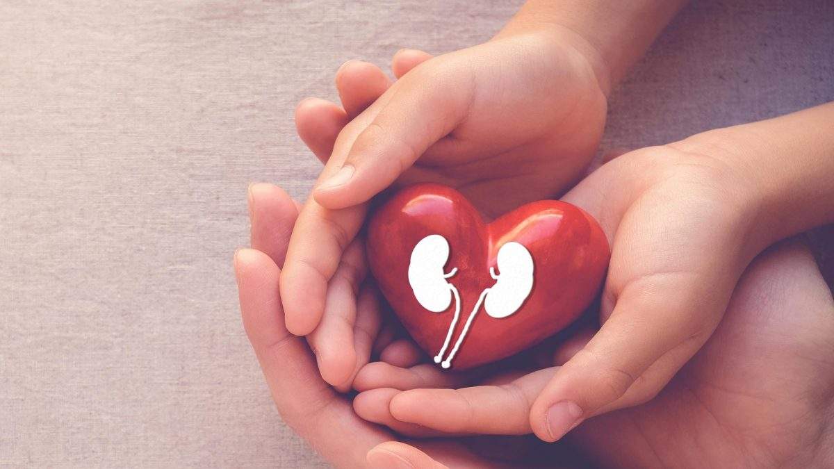 Pediatric Nephrology - Mitera